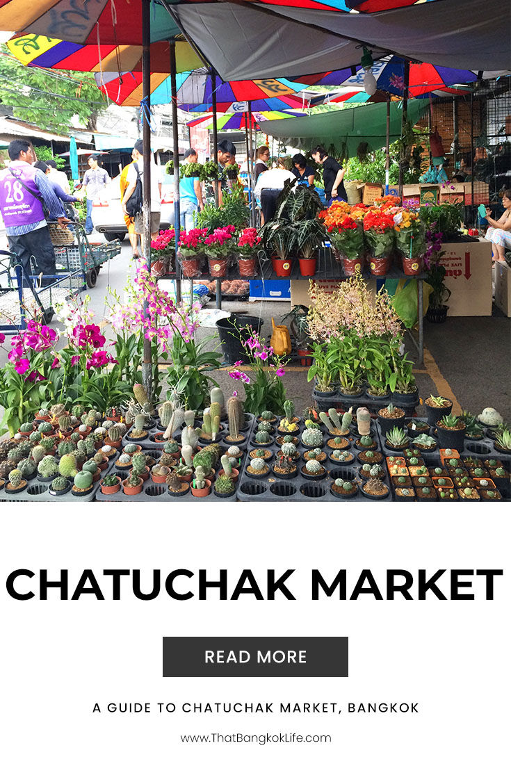 CHATUCHAK MARKET GUIDE - That Bangkok Life