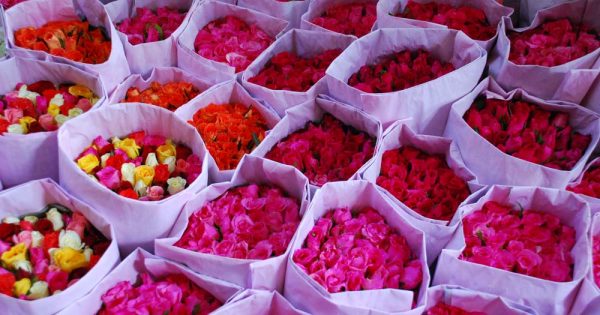 The Ultimate Guide to Bangkok Flower Market - That Bangkok Life